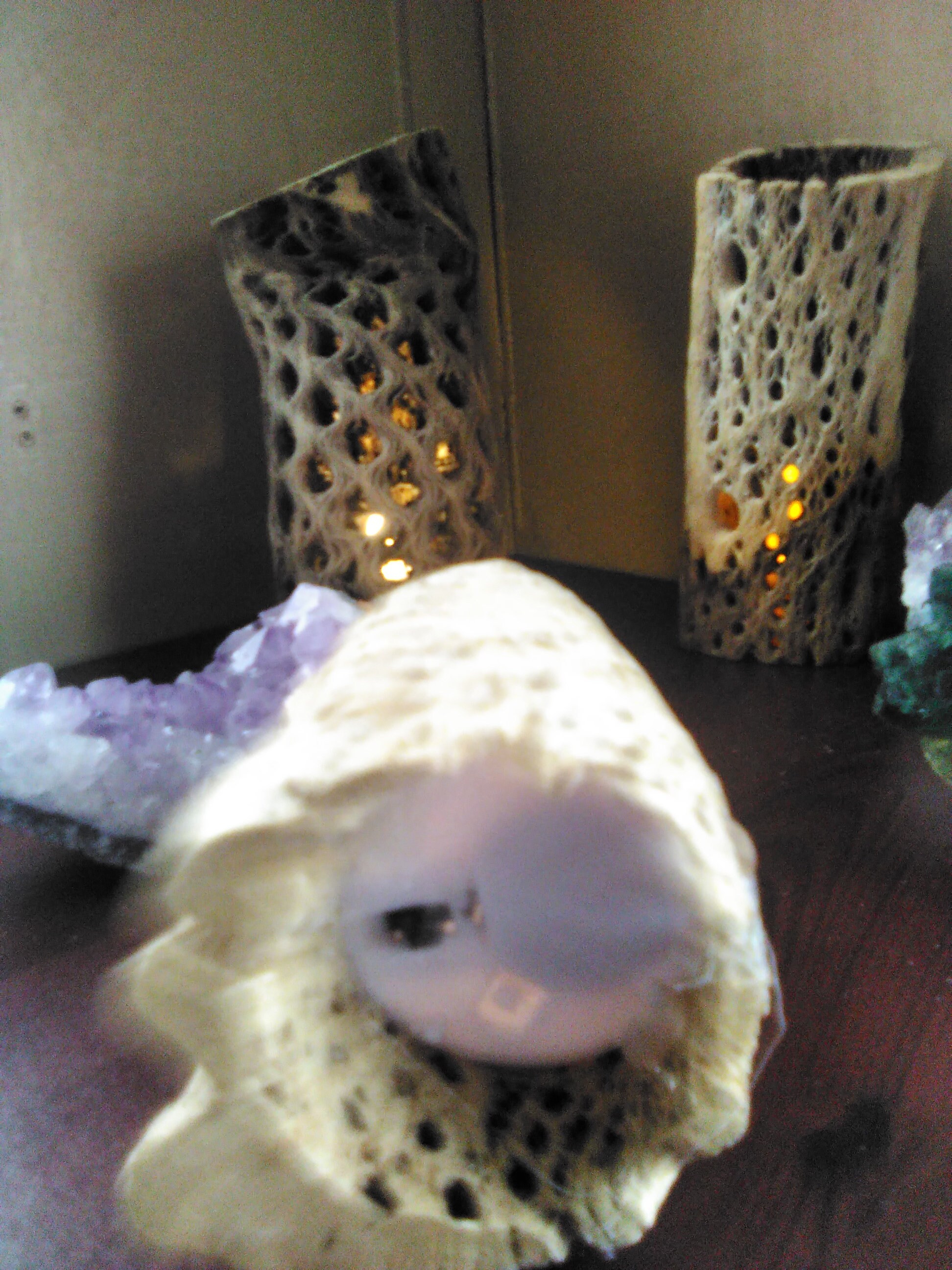 Cholla Cactus Lights Lamps - Etsy