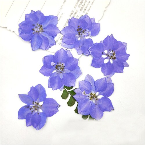 10 Pieces Dried Flowers DIY Resin Craft Fillers Pressed - Etsy