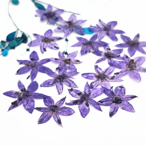 10 Pieces Dried Flowers DIY Resin Craft Fillers Pressed - Etsy