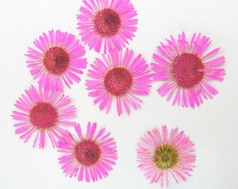 12 Pcs Dried Flower DIY Resin Craft Fillers Pressed Flowers | Etsy