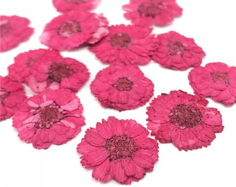10pcs Dried Flower DIY Resin Craft Fillers Pressed Flowers - Etsy