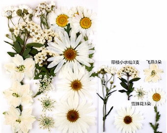 10 Pieces Dried Flowers DIY Resin Craft Fillers Pressed - Etsy