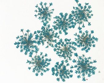 10 Pieces Dried Flowers DIY Resin Craft Fillers Pressed | Etsy