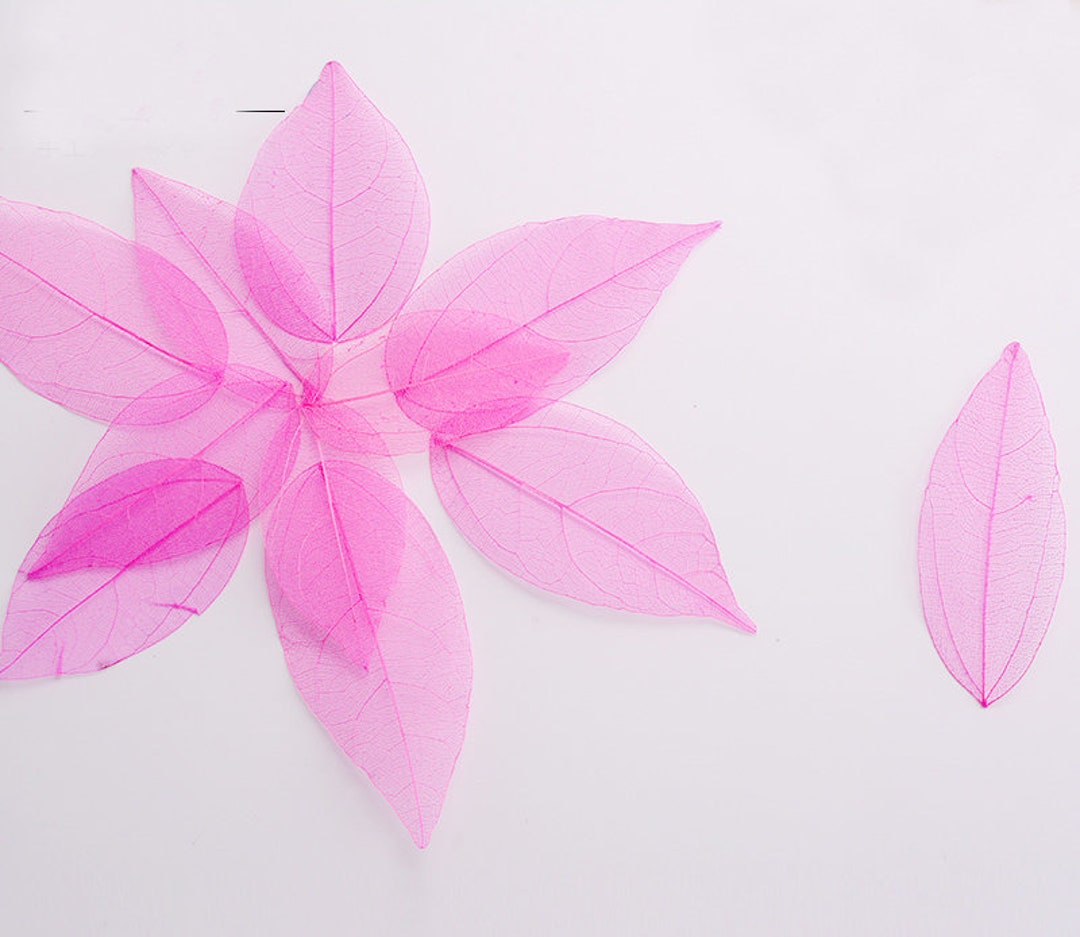 10 Pieces Dried Leaves DIY Resin Craft Fillers Pressed Flowers Slime ...