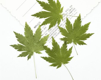 8 Pcs Dried Lavender DIY Resin Craft Fillers Pressed Flowers Slime ...