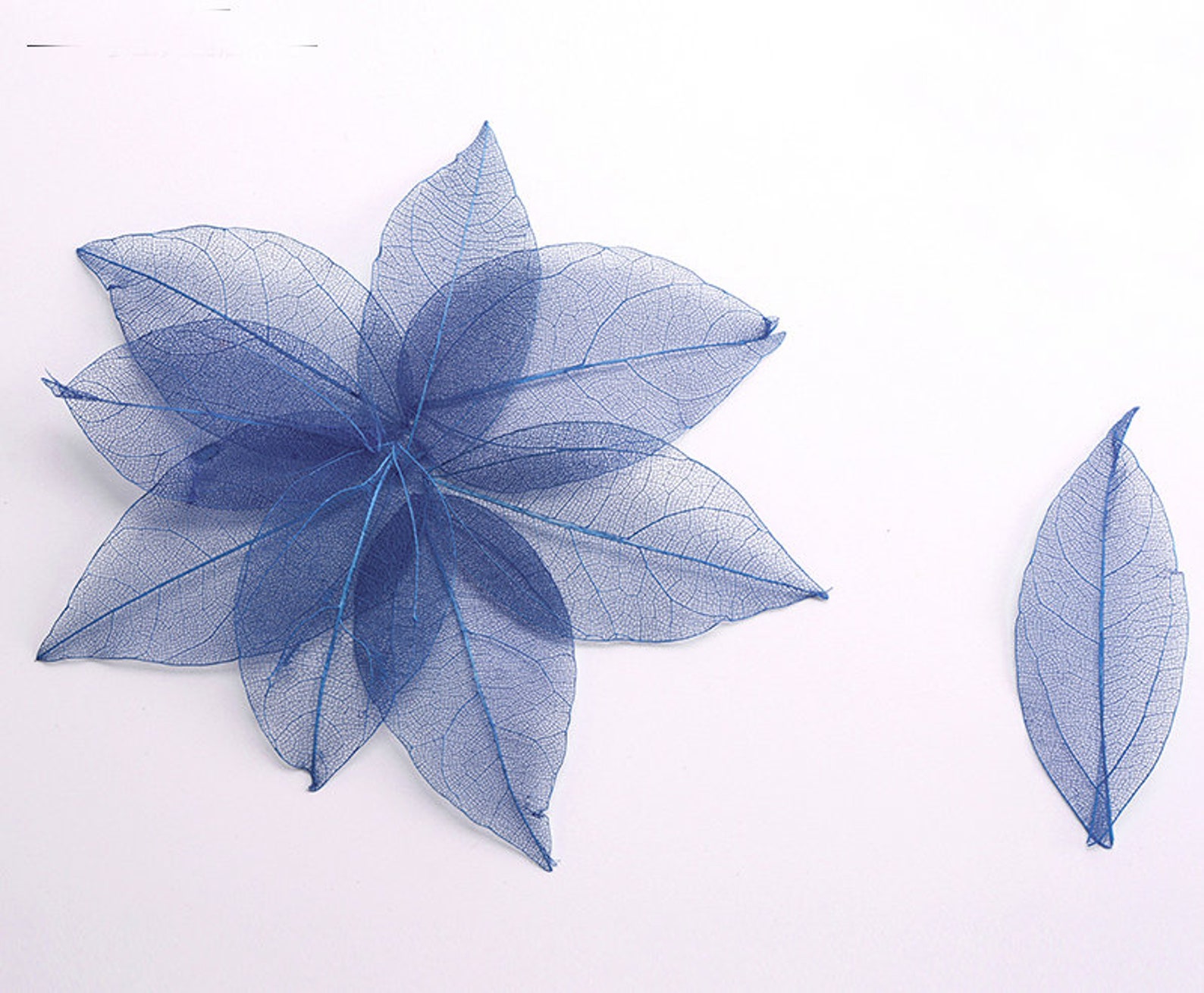 10 Pieces Dried Leaves DIY Resin Craft Fillers Pressed Flowers Slime ...