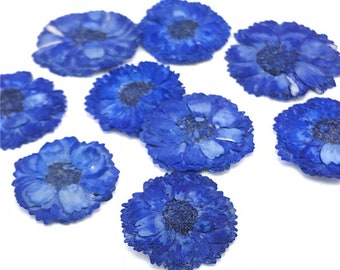 12 Pcs Dried Flower DIY Resin Craft Fillers Pressed Flowers | Etsy