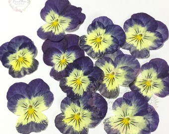 12 Pieces Dried Flowers DIY Resin Craft Fillers Pressed | Etsy