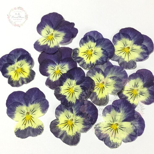 Miniature White Rose Model-resin Craft Filler-romantic Plastic | Etsy