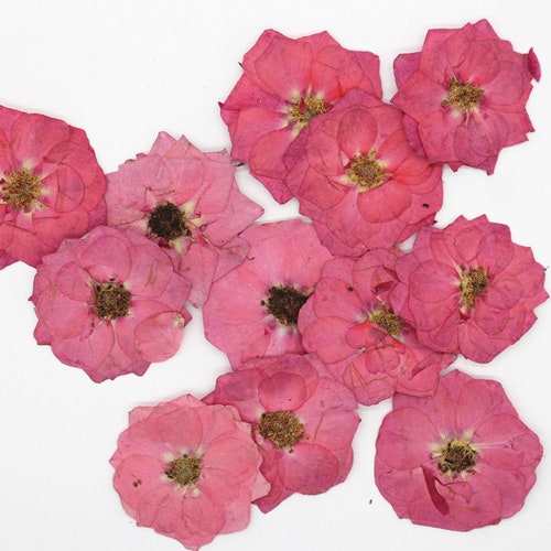 Miniature White Rose Model-resin Craft Filler-romantic Plastic | Etsy