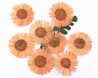 10 Pieces Dried Flowers DIY Resin Craft Fillers Pressed - Etsy