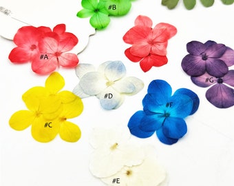 12 Pcs Dried Flower DIY Resin Craft Fillers Pressed Flowers | Etsy