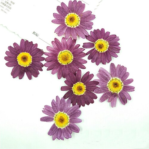 8 Pcs Dried Lavender DIY Resin Craft Fillers Pressed Flowers | Etsy