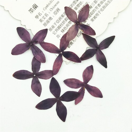 10 Pieces Dried Leaves DIY Resin Craft Fillers Pressed Flowers - Etsy