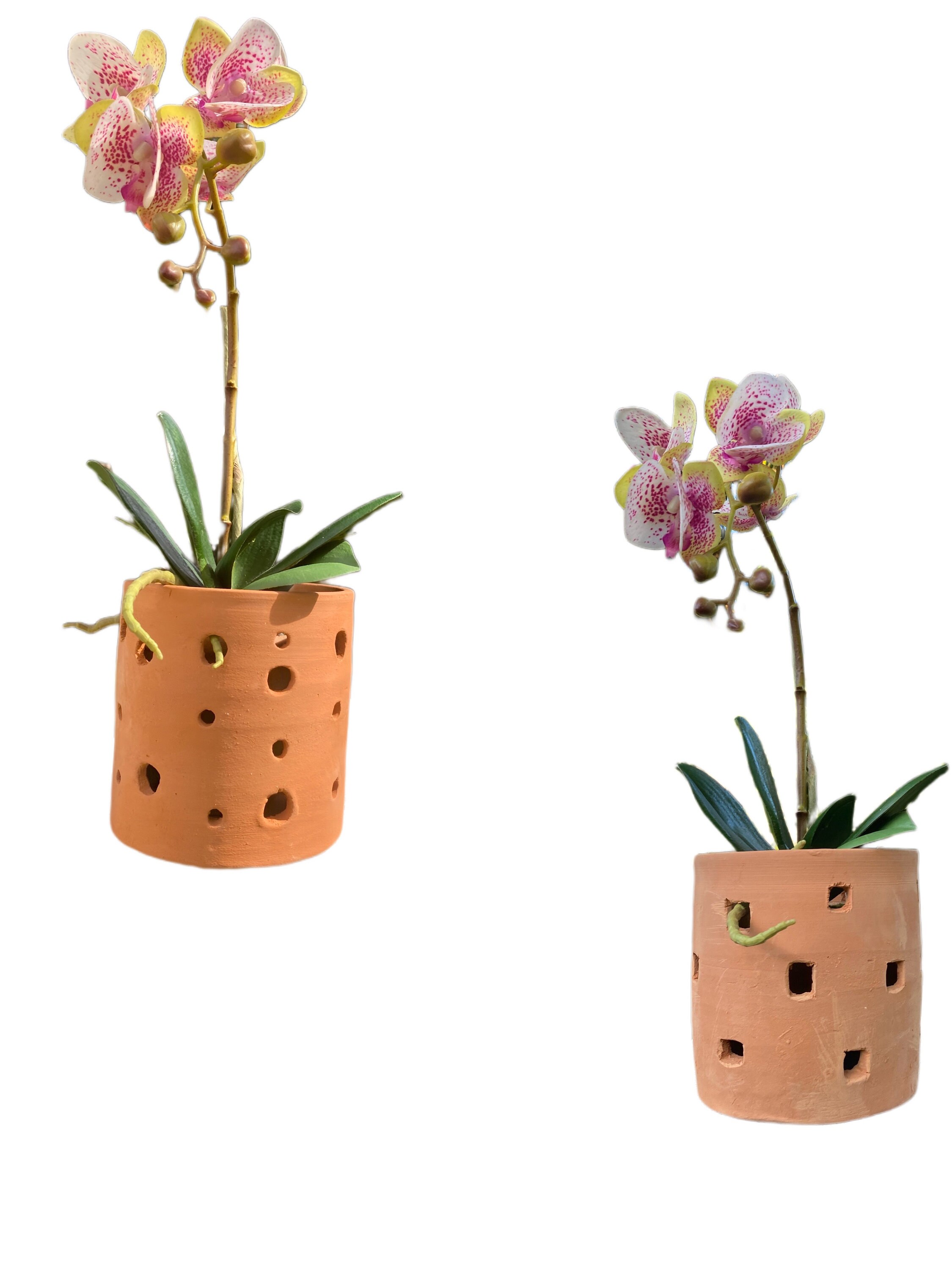 Handmade Terracotta Orchid Planter Big & Small Holes - Etsy