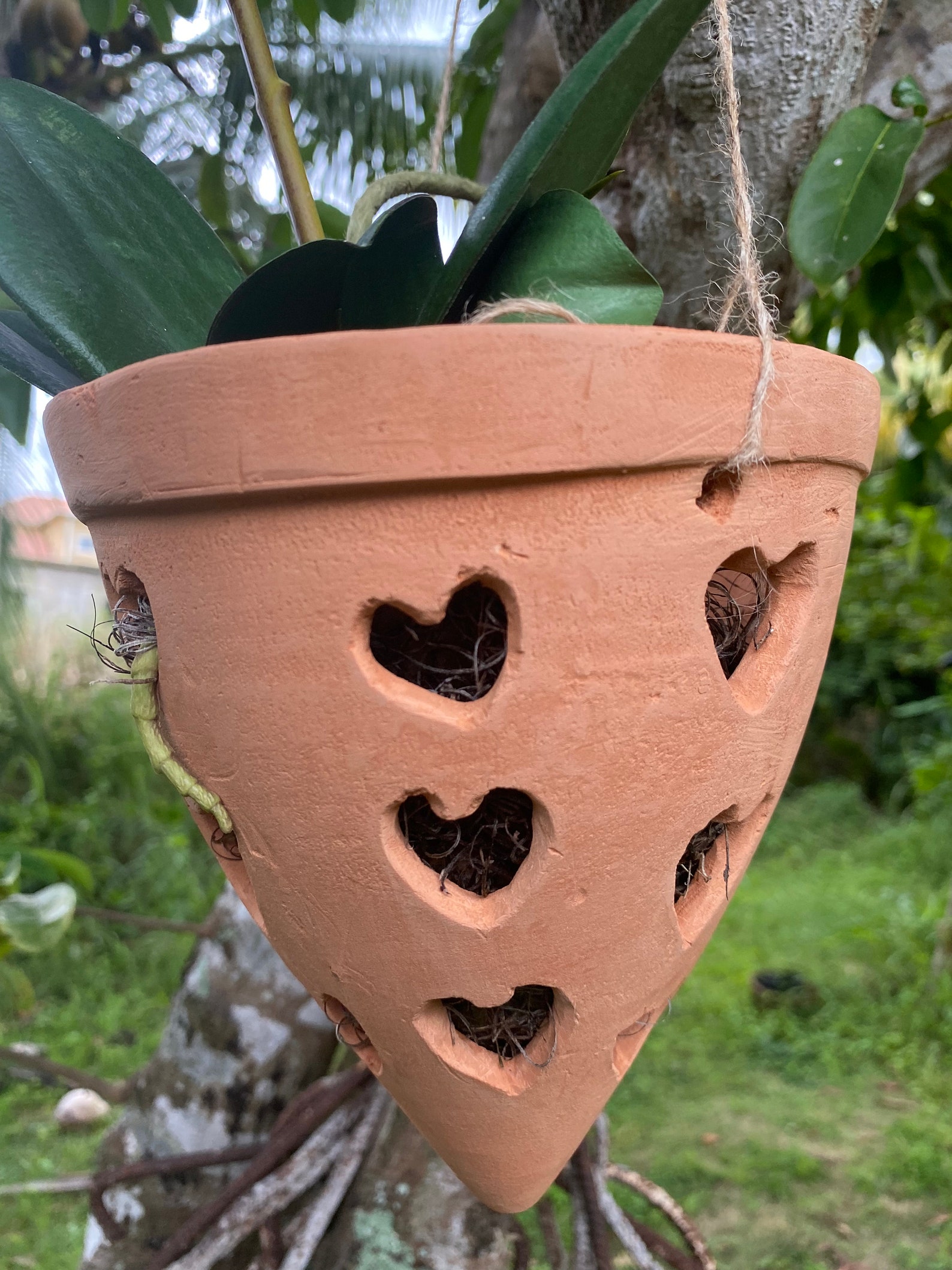 Terracotta Hanging Planter for Plants Hanging Orchid Pot. - Etsy