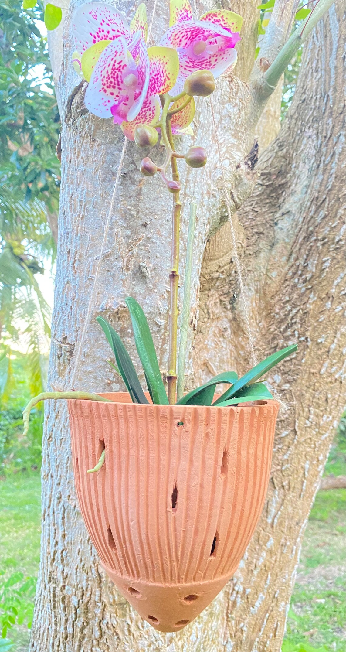 Terracotta Hanging Planter for Plants Hanging Orchid Pot. - Etsy