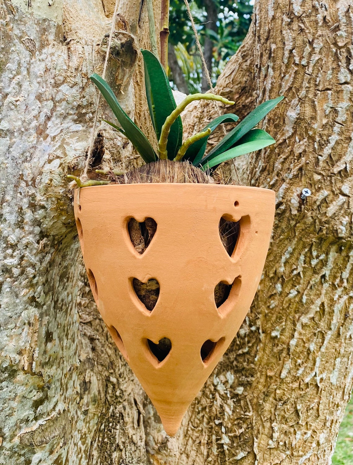 Terracotta Hanging Planter for Plants Hanging Orchid Pot. - Etsy