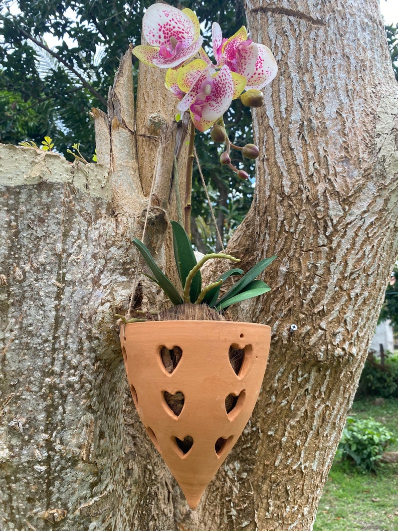 Terracotta Hanging Planter for Plants Hanging Orchid Pot. - Etsy
