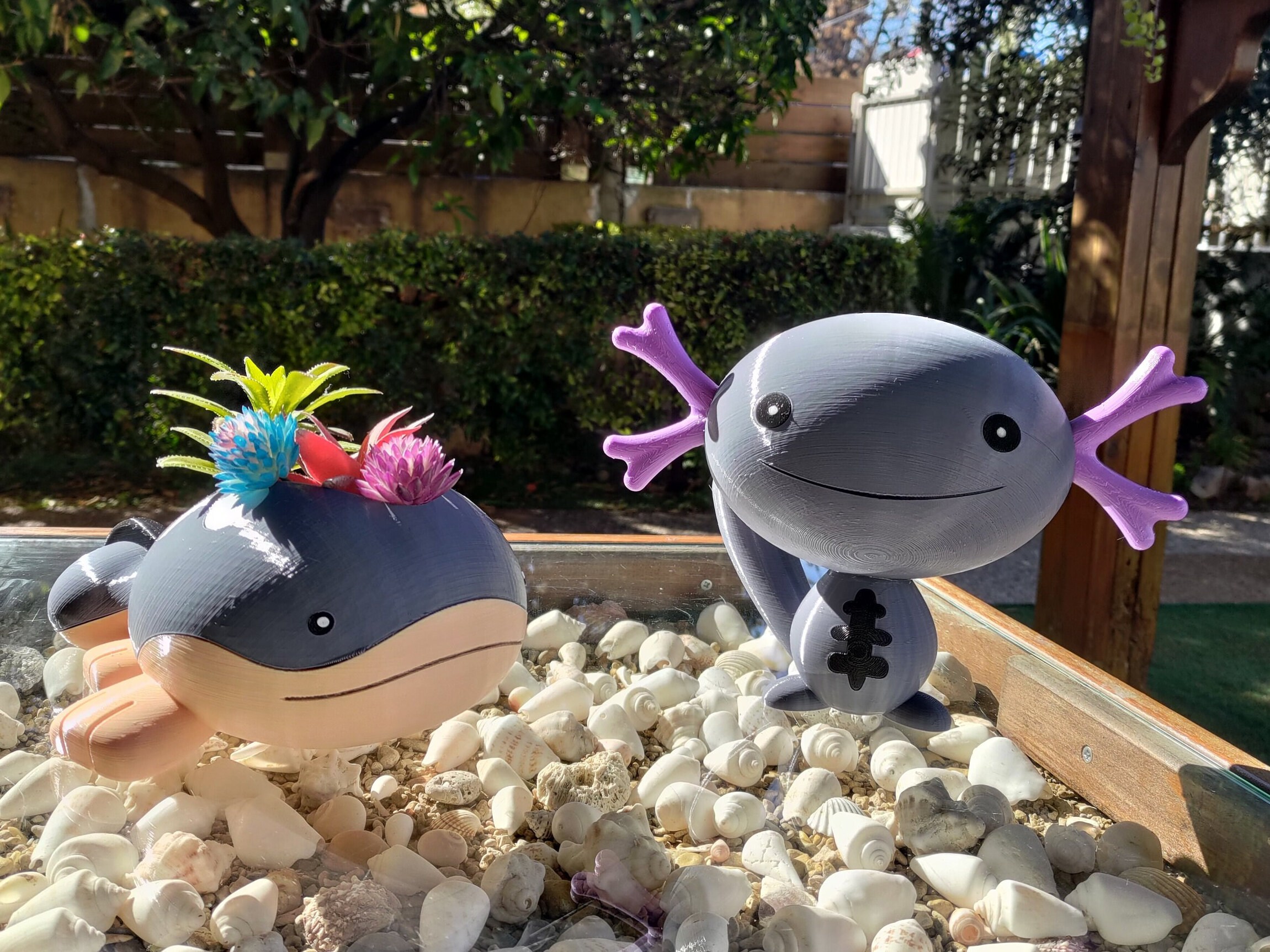 Pokemon Wooper Evolution