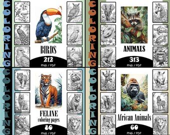 40 Premium Coloring Pages to Use or Resell Resalable Coloring Book ...