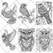 70 PNG Premium Animals Mandala Coloring Pages | Printable | Digital ...