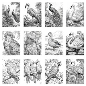 58 Premium Birds Coloring Pages to Use or Resell Resellable Coloring ...