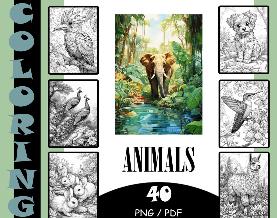 40 Premium Animals Coloring Pages | PNG | Printable | Resellable ...