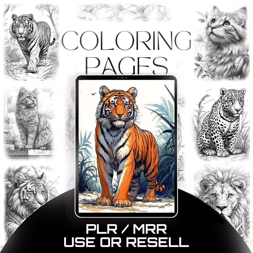 80 Premium Feline Coloring Pages to Use or Resell Resellable Coloring ...