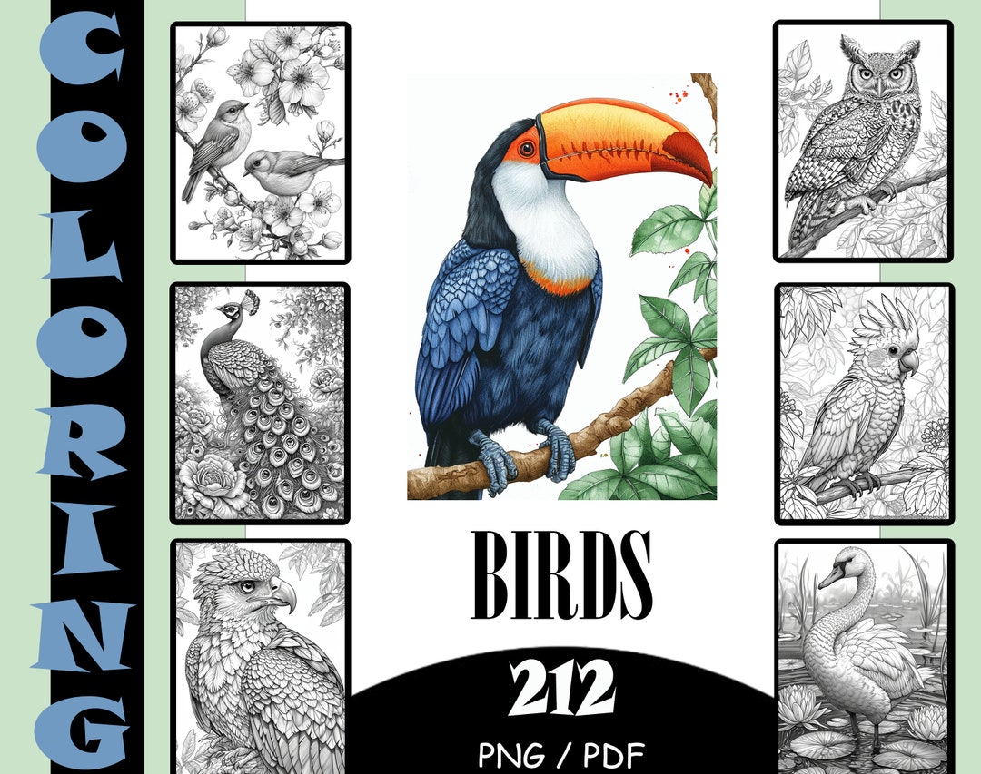 212 Premium Birds Coloring Pages PNG Printable Resellable Bundle Canva ...