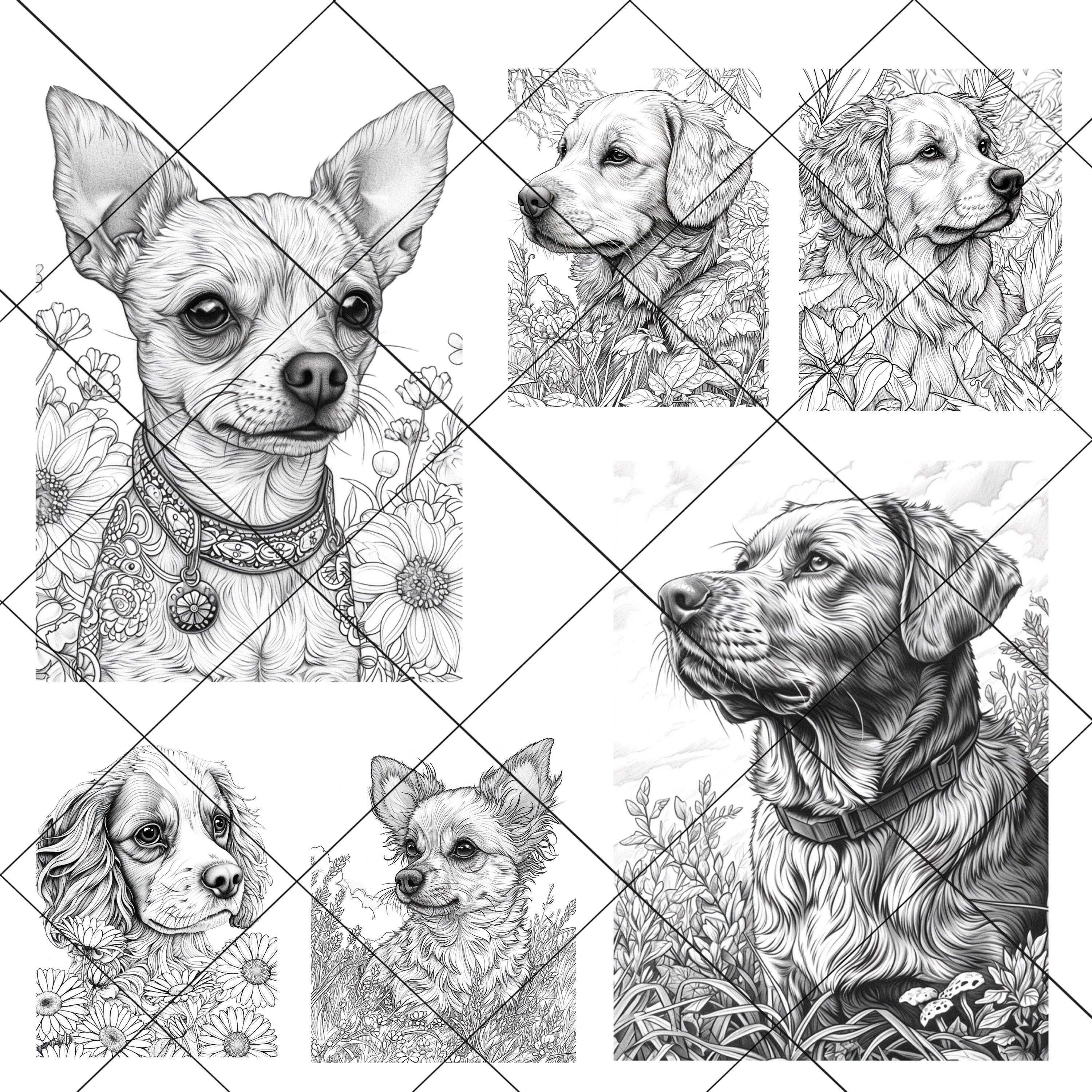 31 Dogs Coloring Pages, Canva Templates, PLR, Resell Rights - Etsy