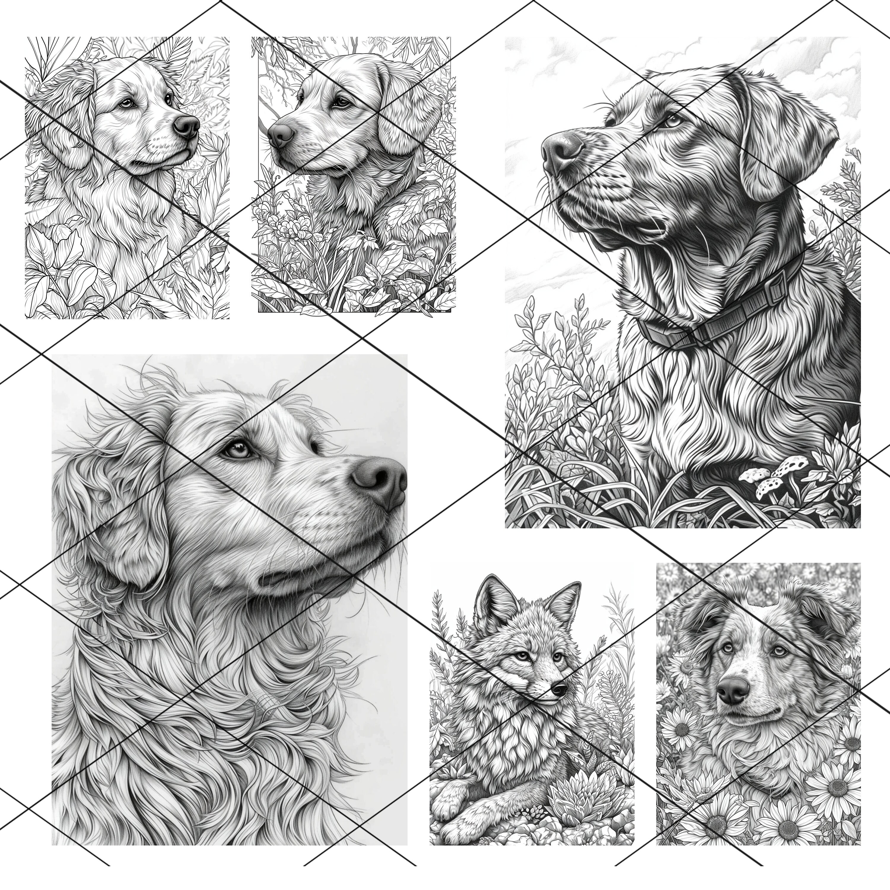 31 Premium Dogs Coloring Pages Resellable Coloring Book Bundle Canva ...