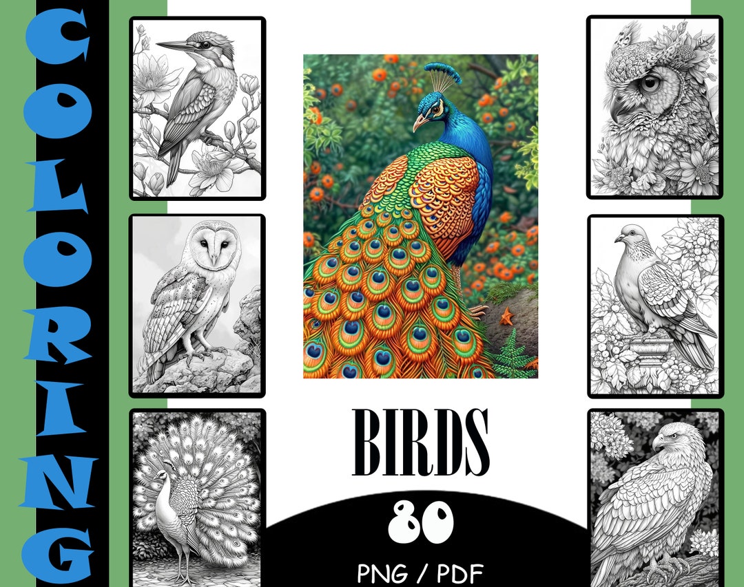 80 Premium Coloring Pages of Birds PNG Printable Resellable Coloring ...