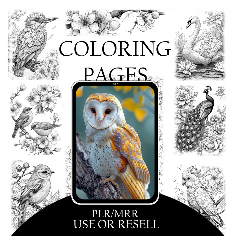 58 Premium Birds Coloring Pages to Use or Resell Resellable Coloring ...