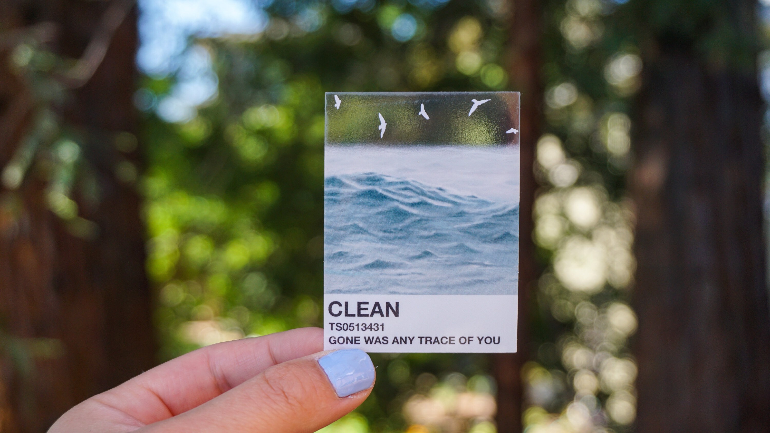 1989 Inspired Sticker Collection - Etsy