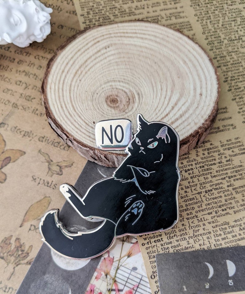 NO Cat Hard Enamel Pin - Etsy