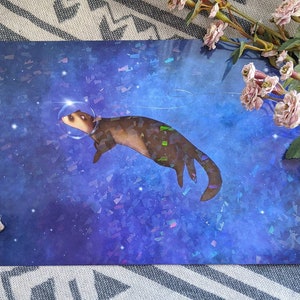 Sable Space Ferret Print - Etsy
