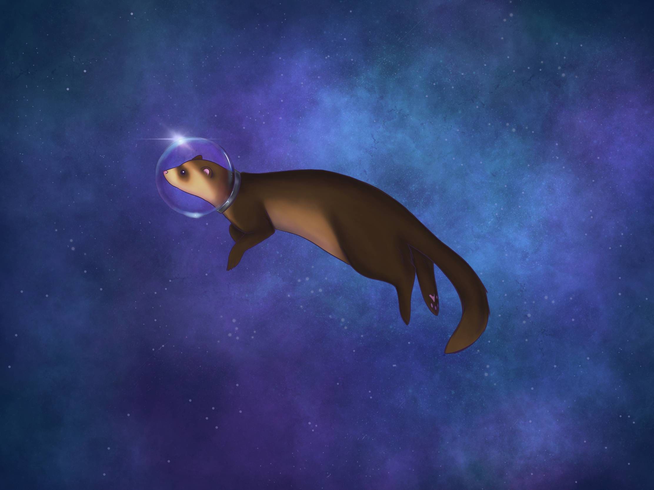 Sable Space Ferret Print | Etsy