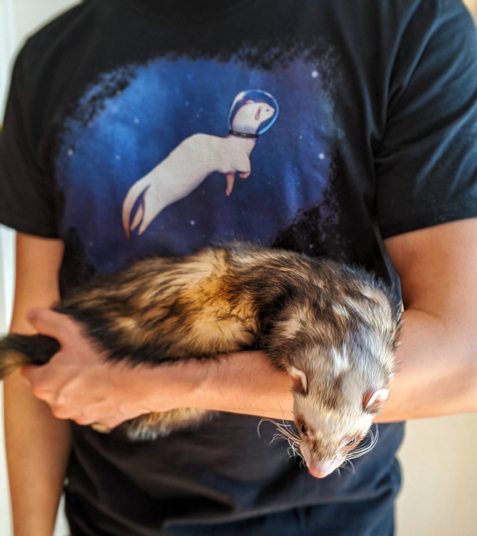 Space Ferret Unisex T-shirt - Etsy