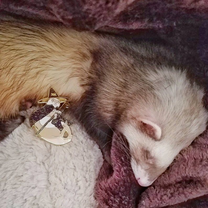 Wizard Ferret Hard Enamel Pin | Etsy