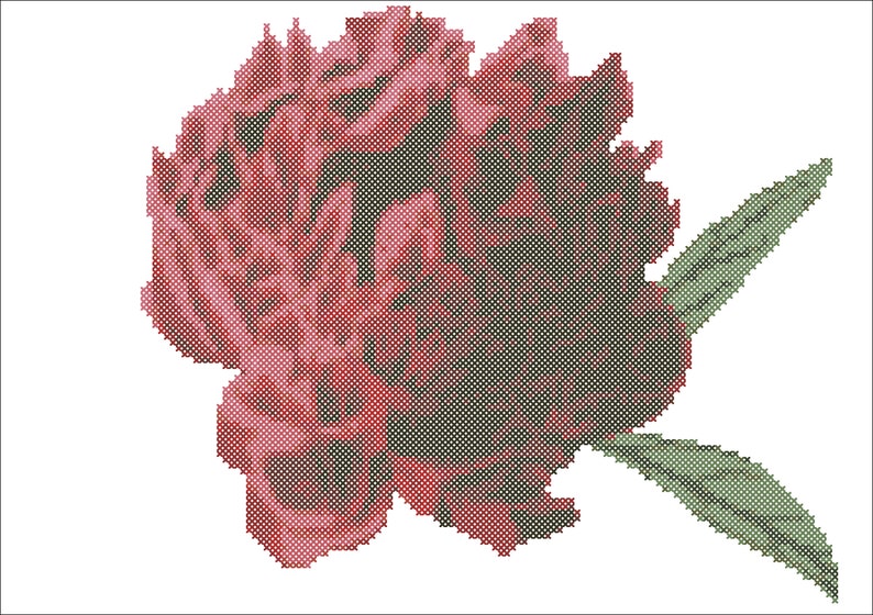 Peony Cross Stitch Pattern Cross Stitch Modern Peony Cross - Etsy