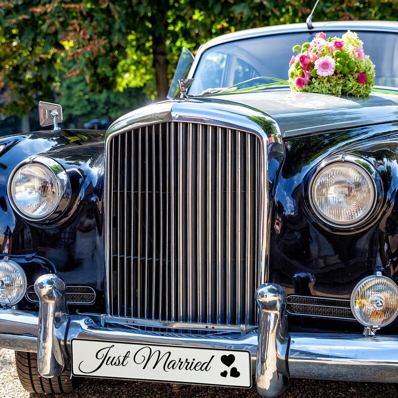 Wedding License Plates, Just Married Decoration, Wedding Car Decoration ...