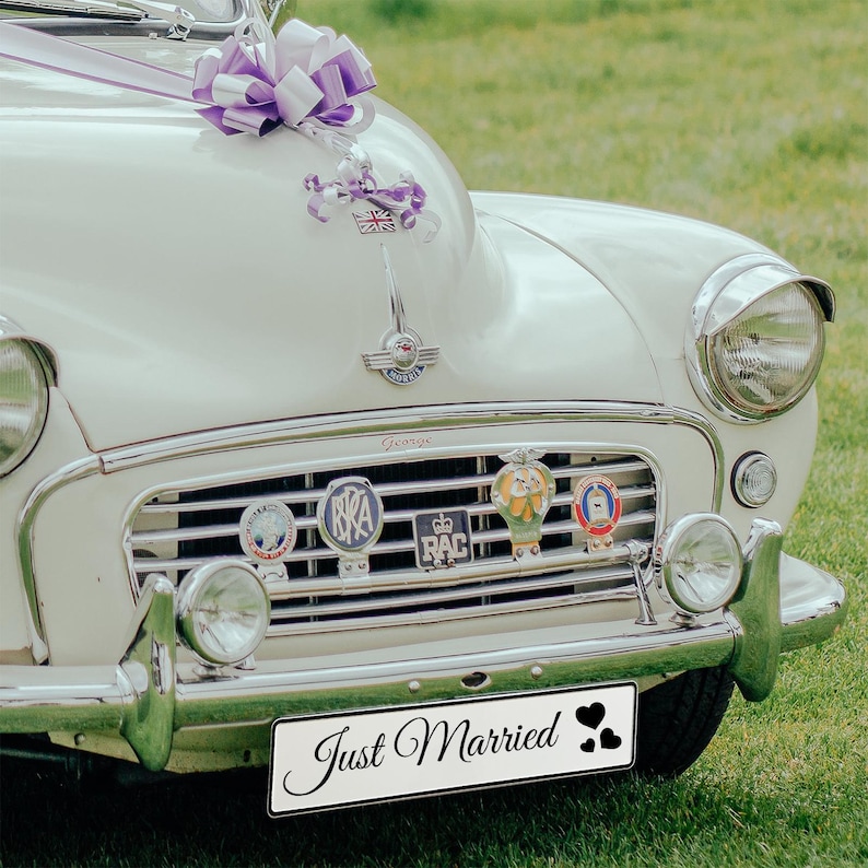 Wedding License Plates, Just Married Decoration, Wedding Car Decoration ...