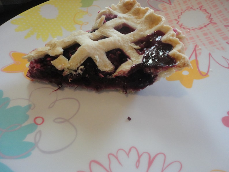Handmade Raisin Pie: Old Fashioned Lattice Top, Mennonite Baked - Etsy