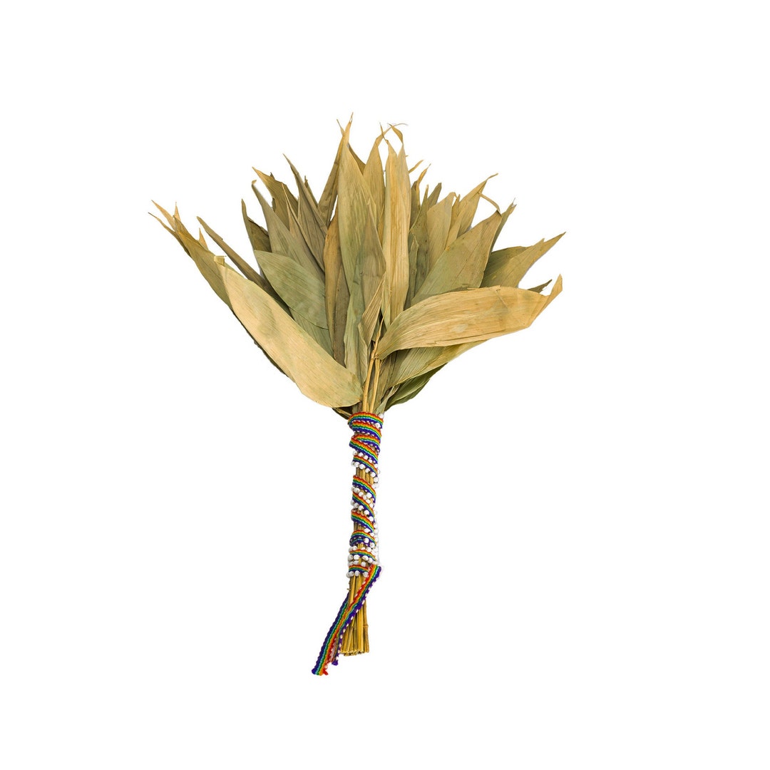 Chacarpa or Chakapa Shaman Ceremonial Instrument Amazon - Etsy