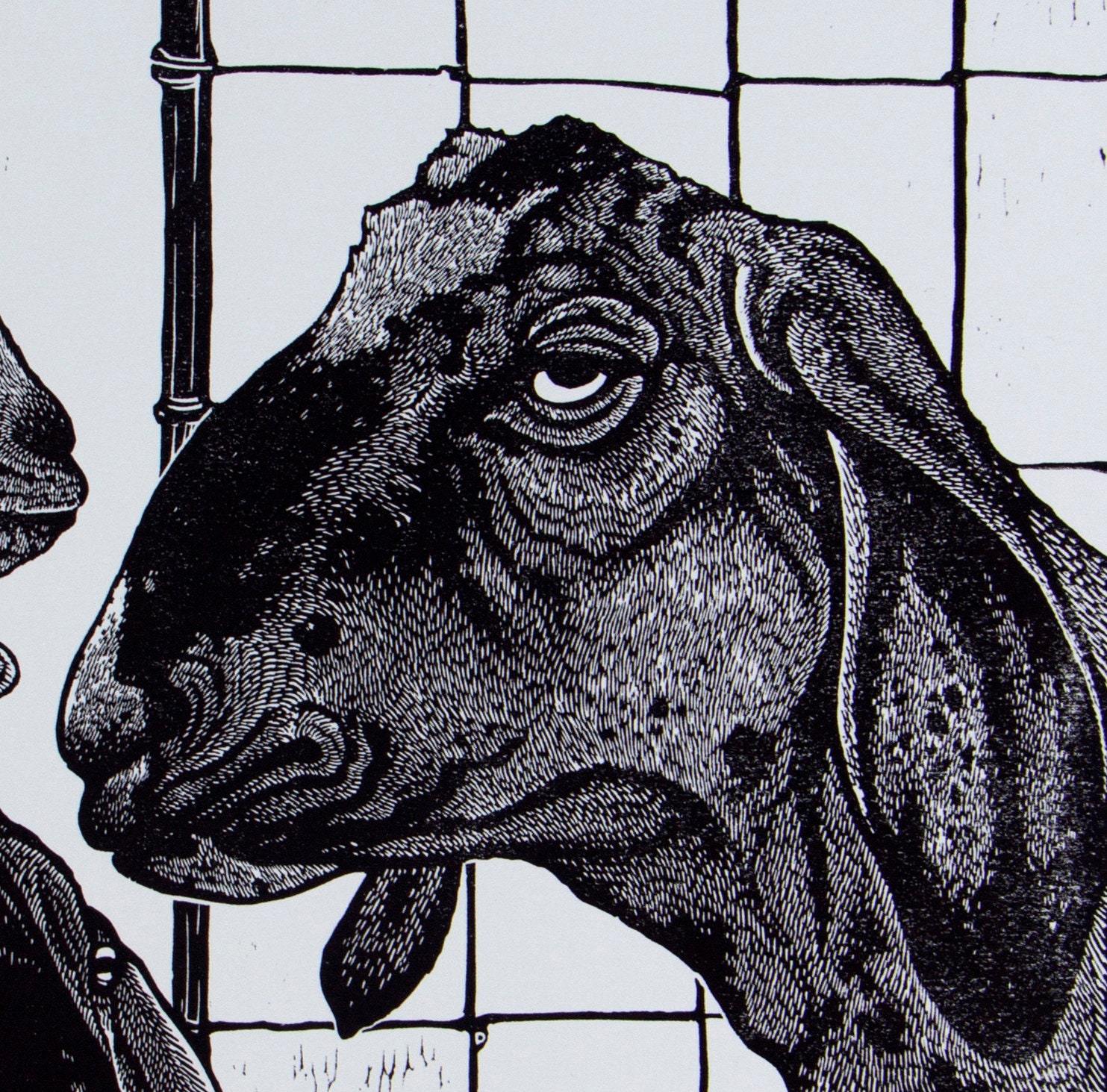 Nubian Goat Linocut Print | Etsy