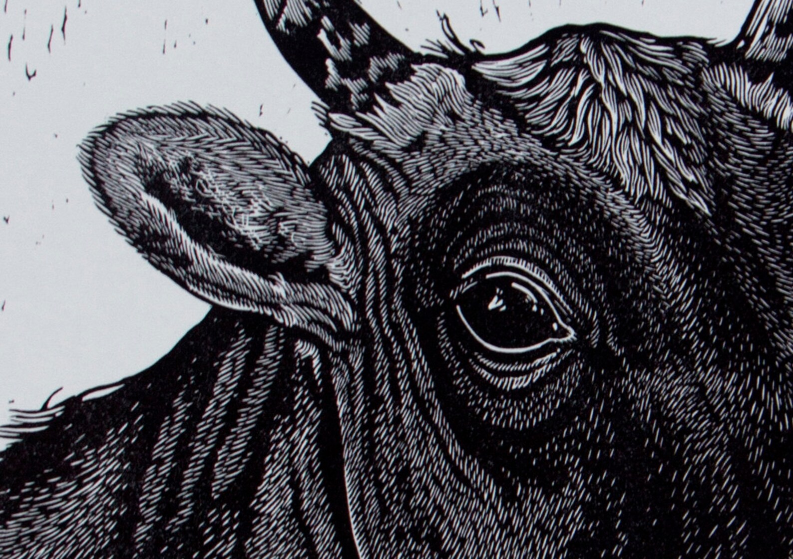 Cow Linocut Print - Etsy