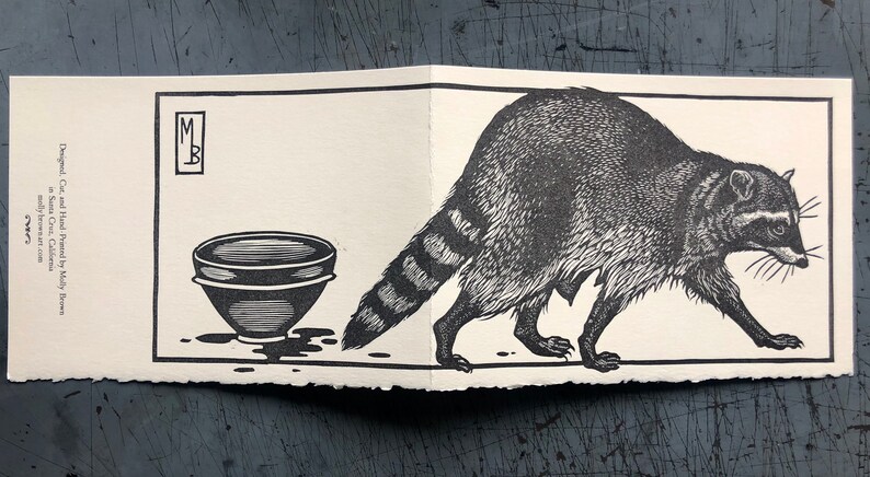 Raccoon With Greek Bowl - Etsy