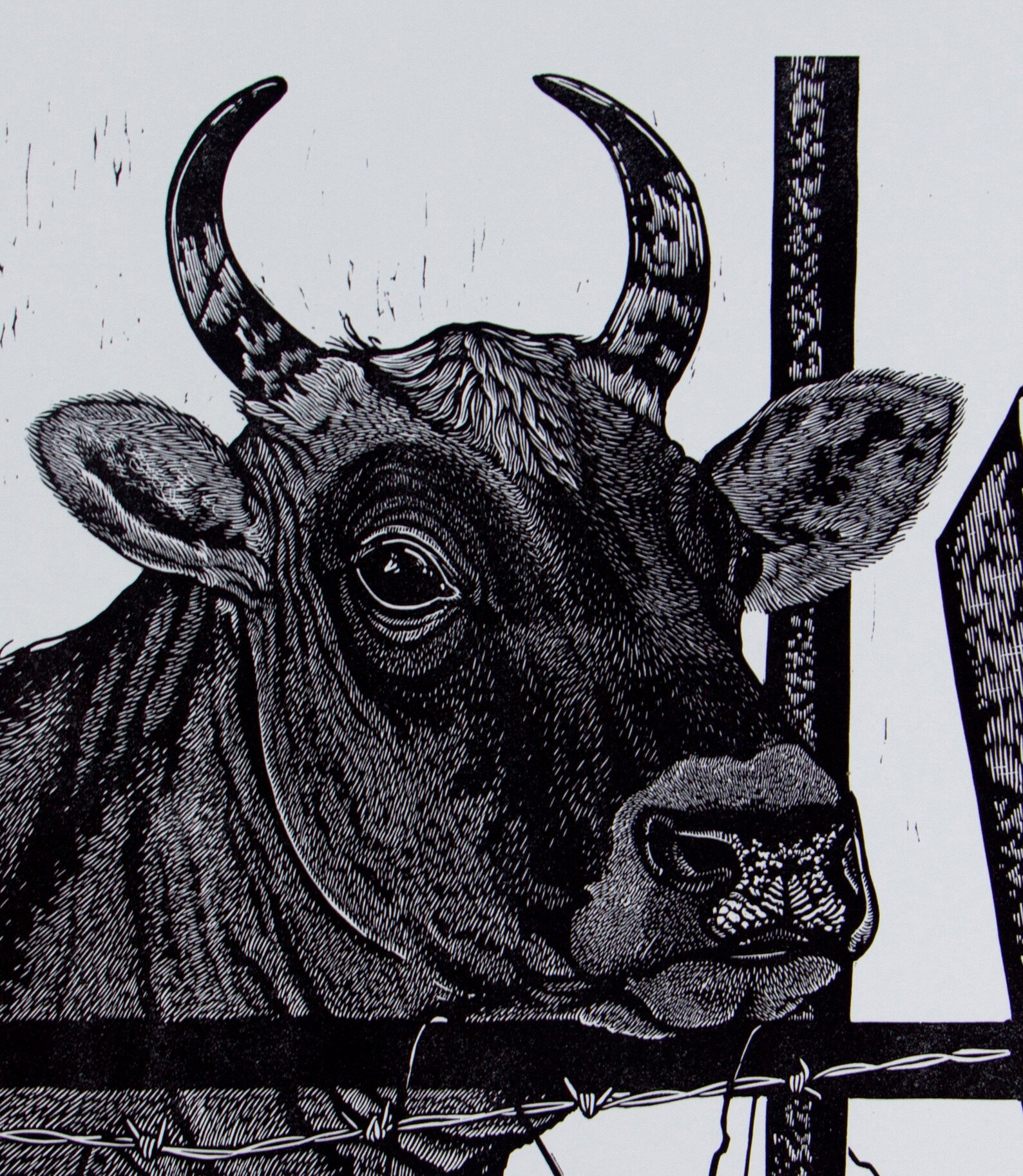 Cow Linocut Print - Etsy Australia