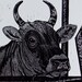 Cow Linocut Print - Etsy
